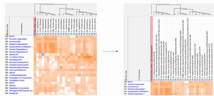 QIAGEN IPA 2022秋冬更新(上) – 生命科學圖書館推廣服務誌