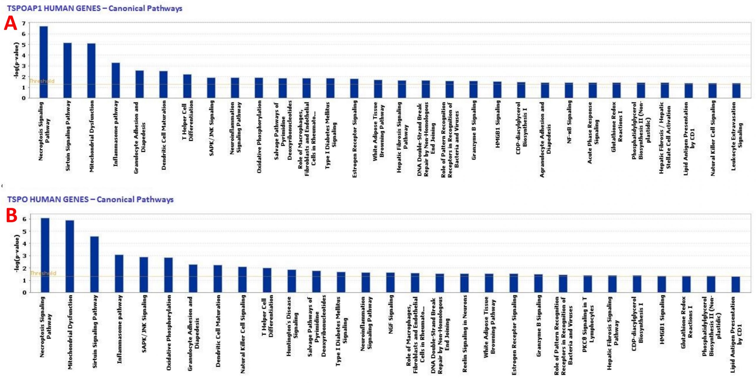 IPA應用於解析蛋白質交互作用 : TSPOAP1與 TSPO在人類疾病中的角色 – 生命科學圖書館推廣服務誌